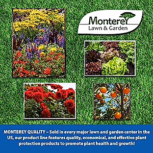 Monterey LG 7265 Fish & Guano Liquid Plant Fertilizer for Transplants and Flowers, 32 oz