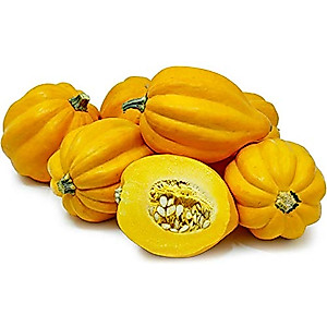 PAPCOOL 10 Table Gold ACọrn Squạsh S.e.e.ds Orange ACọrn Squạsh S.e.e.ds