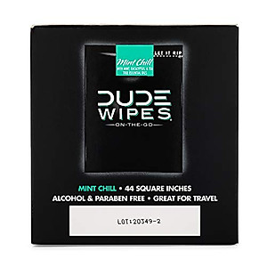 DUDE Wipes On-The-Go Flushable Wet Wipes - 1 Pack, 30 Wipes - Mint Chill Extra-Large Individually Wrapped Wipes with Eucalyptus & Tea Tree Oil - Septic and Sewer Safe