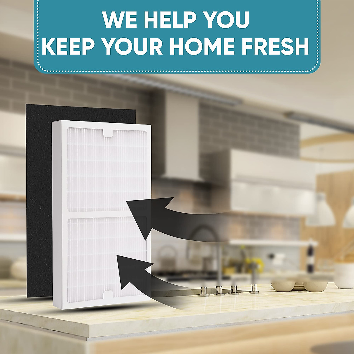 2 Pack Replacement Filters - C - for Idylis Air Purifiers IAP-10-280, IAP-10-200, Part# IAF-H-100C