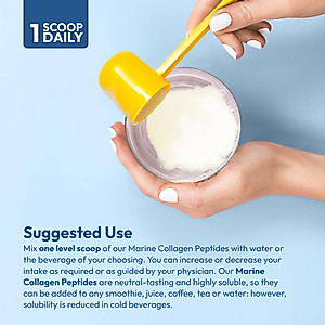 ANDREW LESSMAN Marine Collagen Peptides Powder and MSM 60 Servings - Supports Radiant Smooth Soft Skin, Comfortable Joints. Pure. Super Soluble No Fishy Flavor No Additives Non-GMO