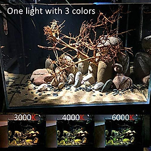 NILIPAL LED Aquarium Light - Freshwater Fish Tank Light Vivarium Terrarium Spotlight 3 Colors 3000K 4000K 6000K Cool Warm White for Planted Fish Tank (3 Colors)