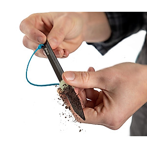 Nemo Sweepstake (6-Pack)