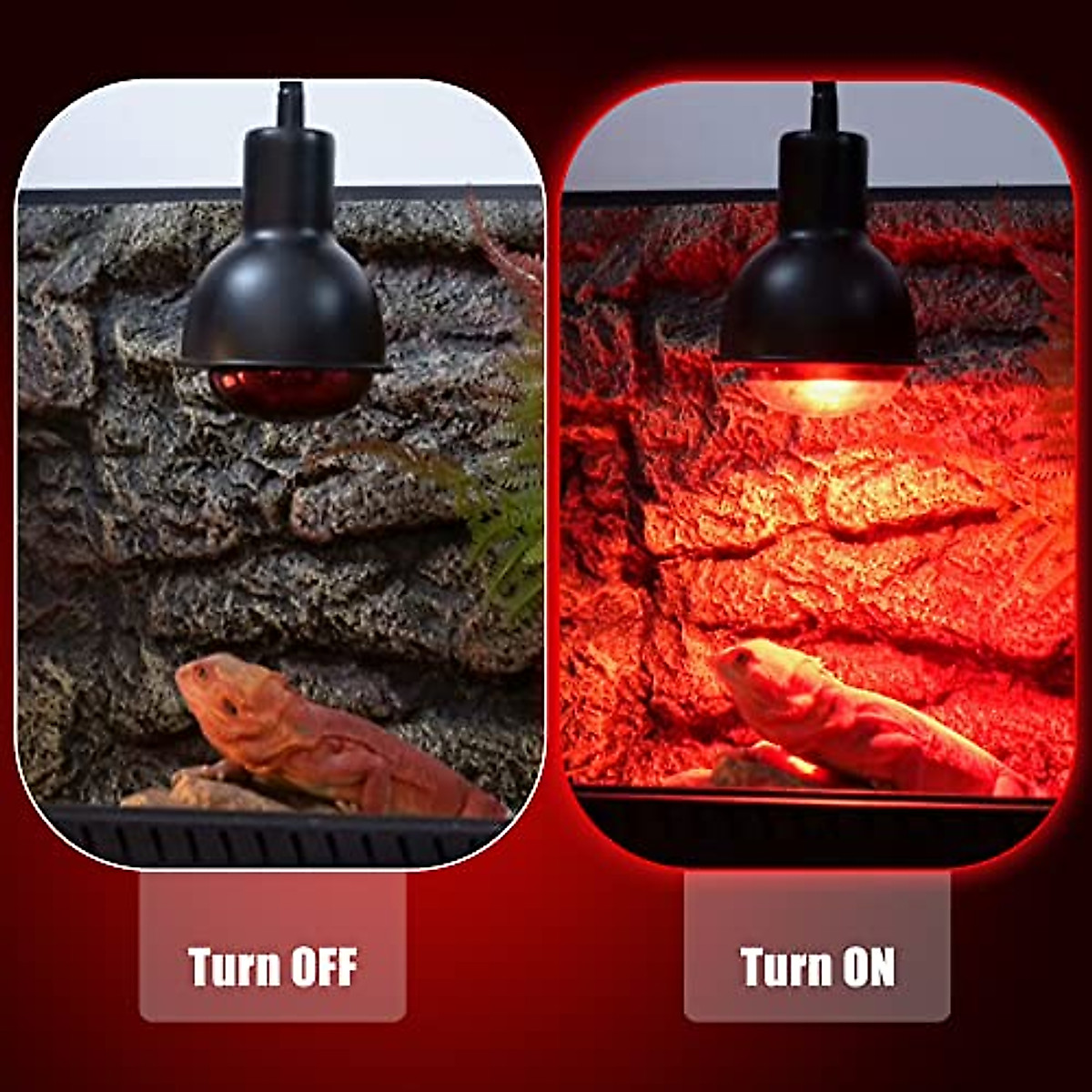 Ordekcity Reptile Heat Lamp Bulb 100W UVA Basking Spot Heat Lamp Reptile Light Tortoise Light Turtle Bulb for Animals Bearded Dragon-2 Pack