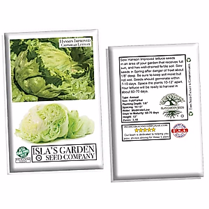 Hanson Improved Crisphead Lettuce Seeds for Planting, 1000+ Heirloom Seeds Per Packet, Non GMO Seeds, Botanical Name: Lactuca Sativa, Great Home Garden Gift