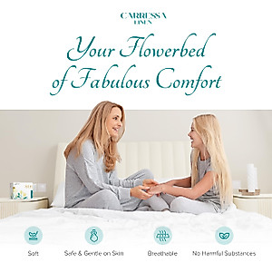 Carressa Linen 100% Egyptian Cotton Duvet Cover Queen Size - 800 Thread Count 3 PC Silver Duvet Cover Set, Extra Long Staple Egyptian Cotton Quilt Cover, Soft, Breathable with Hidden Zipper Closure