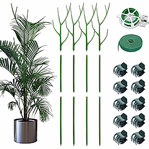ROADPLUM 4 Pack 39.37" Detachable Twig Plant Support Stakes Set, Blends in to Plant, Branch Plant Sticks with Orchid Clips Twist Plant Ties, Twig Trellis for Indoor Outdoor Plants Potted Plants Flower