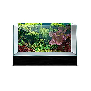 SPORN Aquarium Background, Static Cling, Tropical, 24" x 12"