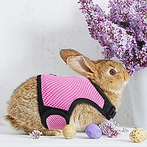 2 Pieces Bunny Rabbit Harness with Leash Cute Adjustable Buckle Breathable Mesh Vest for Kitten Puppy Small Pets Walking (Blue, Pink,M)