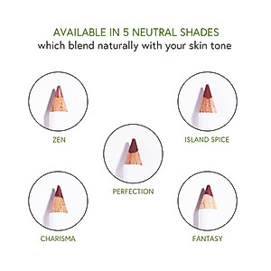 Honeybee Gardens Irresistible Lip Liner In Spice, Rosey Cinnamon Color, Long-Lasting, Gluten-Free, Vegan, 0.04 oz