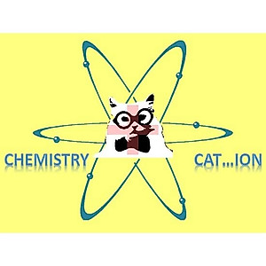 CafePress The Chemistry Cat.Ion Mugs Ceramic Coffee Mug, Tea Cup 11 oz