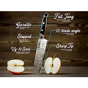 UrbanXElites Damascus Knife Chef Knife set - 4 Real Damascus Professional knife sets for chefs with Japanese knife VG10 Steel, Professional damascus knife set | Full Tang G10 Handle | Gift Box