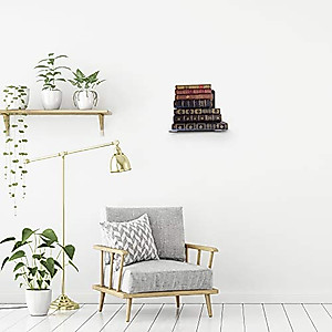 CRIZTA 2pcs Invisible Floating Bookshelf , Heavy Duty Wall Mounted Book Organizer, Metal Shelves Holder for Books, Large Size (Black) (4)