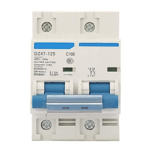 Current Circuit Breaker, DZ47-125 2P Current Miniature Circuit Breaker 400V 80/100/125A Leakage Protection Switch Supplemental Protection(100A)