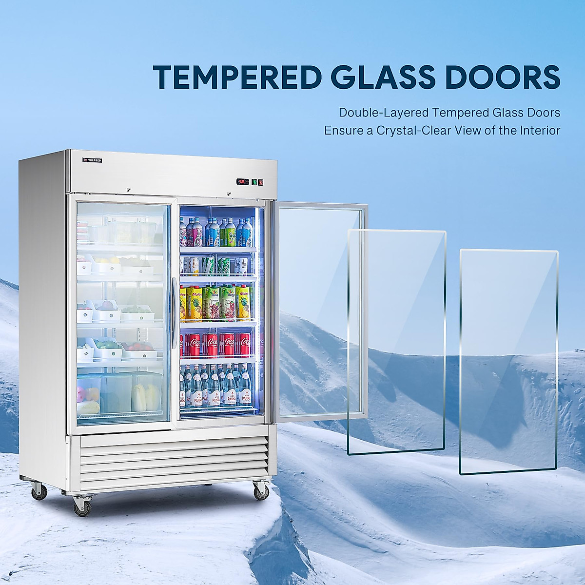 Wilprep Commercial Refrigerator, 54" 2 Glass Door Display Refrigerator with 42.2 cu. ft. Capacity, Reach in Merchandise Fridge Stainless Steel Beverage Cooler with Adjustable Shelves for Restaurant