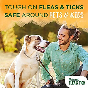 TropiClean Maximum Strength Natural Flea and Tick Dog Shampoo, Natural Flea and Tick Prevention for Dogs, Made in the USA, 20oz