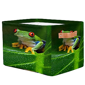 XMNYGJ Tree Frog Palm Leaf Storage Baskets Foldable Large Fabric Storage Bins for Organizing Toys, Clothes, Shelves, Closet, 15x11x9.5 Inches Storage Box with Handles 2-Pack