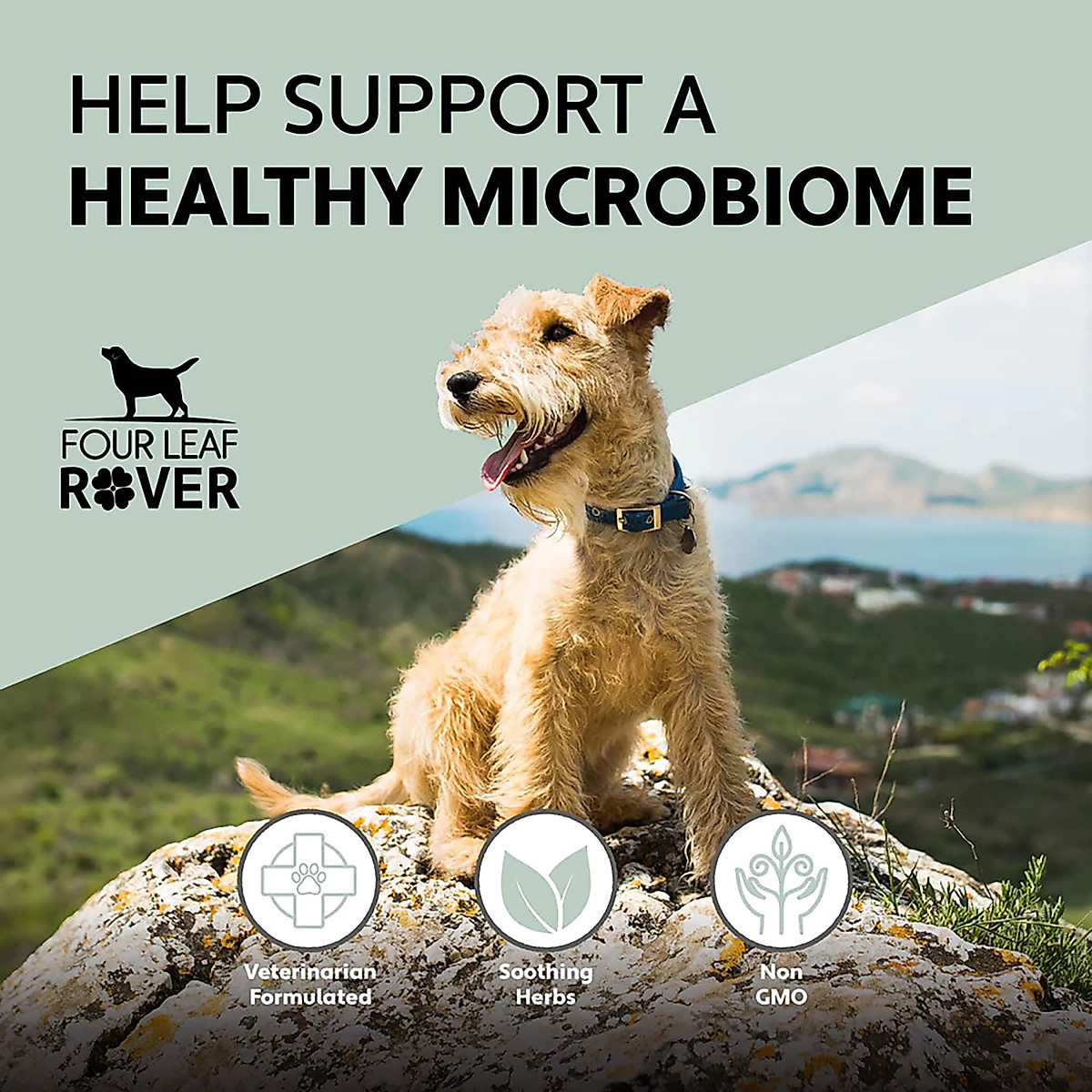 Four Leaf Rover: Yeast Guard - Dog Gut Health Probiotics Support Powder - Organic Herbs for Flora and Immune Support - 7 to 60 Day Supply, Depending on Dog’s Weight - Vet Formulated - for All Breeds