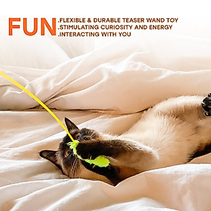 AlabongCat Catnip Toys Set – 3-Piece Set with Chicken Kitty Toy and Cat Teasers – Funny and Entertaining Catnip Toy – Stimulating and Interactive Indoor Cat Toys (Chicken Catnip Toy and Cat Teasers)