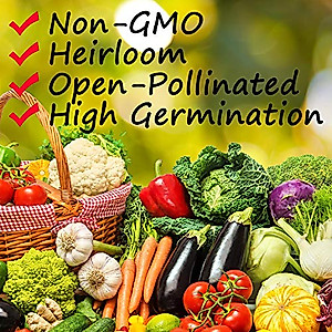 Thai Hot Pepper Seeds for Planting - 250 mg 30+ Seeds - Non-GMO, Heirloom Hot Pepper Plant Seeds - Home Garden Vegetable Hot Pepper Seeds - Sealed in a Beautiful Mylar Package for Extended Shelf Life