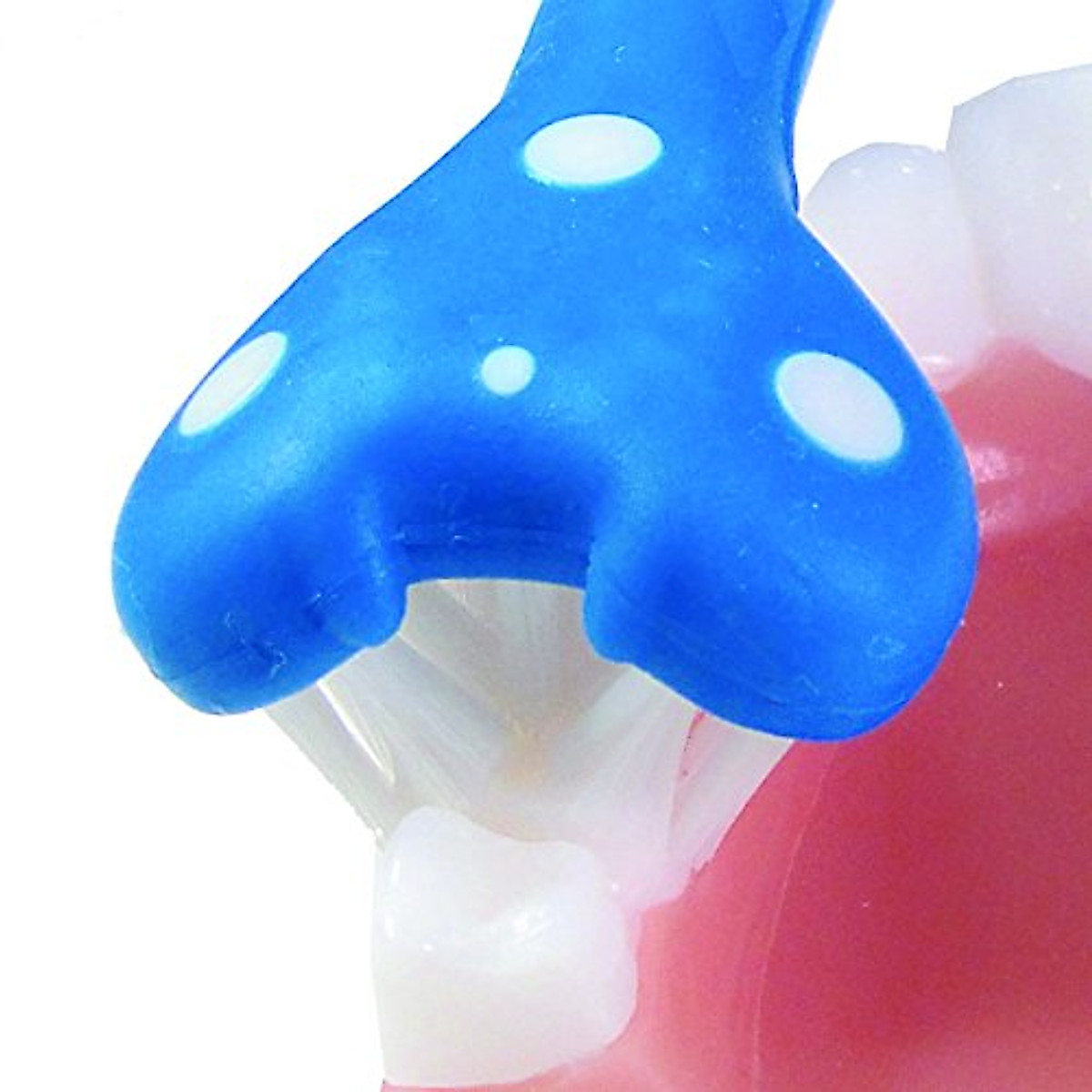 Surround Toddler Toothbrush (Pack of 2) (Blue/Coral)