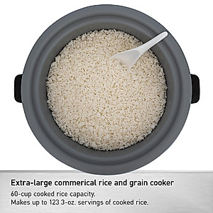 Panasonic Commercial Rice Cooker, Extra-Large Capacity 60-Cup (Cooked), 30-Cup (Uncooked) with One-Touch Operation and Durable Non-Stick Coated Pan - SR-GA541FH – Silver