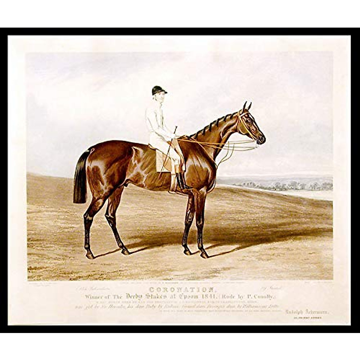 Coronation, Winner of The Derby Stakes at Epsom 1841, (Rode by P. Conolly.) A bay horse, bred by and the property of A. Rawlinson, Esq. of Chadlington, Oxon. was got by Sir Hercules, his dam Ruby by Rubens, Grand-dam Revenge's dam, by Williamson's Ditto:
