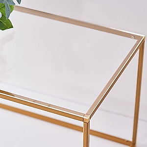 2 Pack Acrylic Sheet Clear Cast Plexiglass 39" x 12" Long Panel 1/8" Thick (3mm) Transparent Plastic Plexi Glass Board with Protective Paper for Signs, DIY Display Projects, Craft, Easy to Cut - Clear