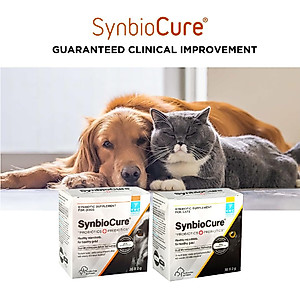 SynbioCure I Probiotics & Prebiotics for Cats I Powder Cat Supplement I Digestive Health Support I 200 Billion Bacteria Per Sachet I 30 Sachets*2 g