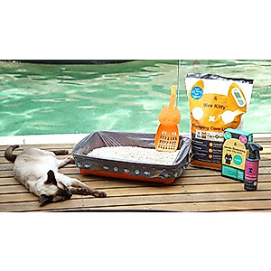 Rufus & Coco WeeKitty | Natural Flushable Clumping Cat Litter | Low Tracking Biodegradable Pellets | Corn 8.8lbs bag