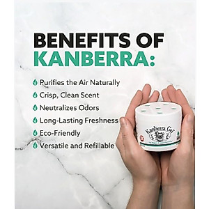 KANBERRA GEL 524001 Natural Air Purifier Gel, 2-Ounce
