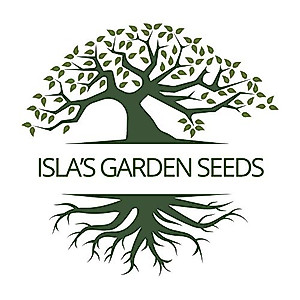 Amana Orange Beefsteak Heirloom Tomato Seeds for Planting, 50+ Heirloom Seeds Per Packet, Non GMO Seeds, (Isla's Garden Seeds), Botanical Name: Lycopersicon esculentum, Great Home Garden Gift