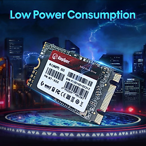 KingSpec M.2 SATA SSD, 512GB 2242 SATA III 6Gbps Internal M.2 SSD, Ultra-Slim NGFF State Drive for Desktop/Laptop/Notebook (2242, 512GB)