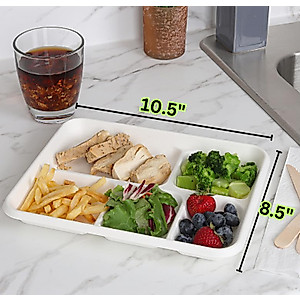 ECORIYO Divided Paper Plates - 50-Pack of Heavy Duty Disposable Plates with Compartment - Compostable Sugarcane 5 Compartment Disposable Plates - 10.5 x 8.5 x 1 Inch