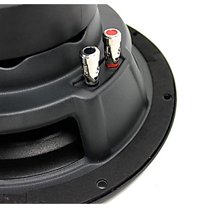 Rockford Fosgate 2 New R2D2-10 1000W 10" 2-Ohm Car Audio Subwoofers Subs R2D210