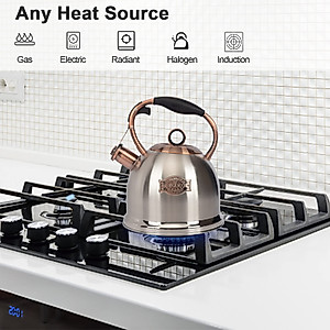Whistling Stovetop Tea Kettle Food Grade Stainless Steel, Hot Water Fast to Boil for Stove Top-3.0Q