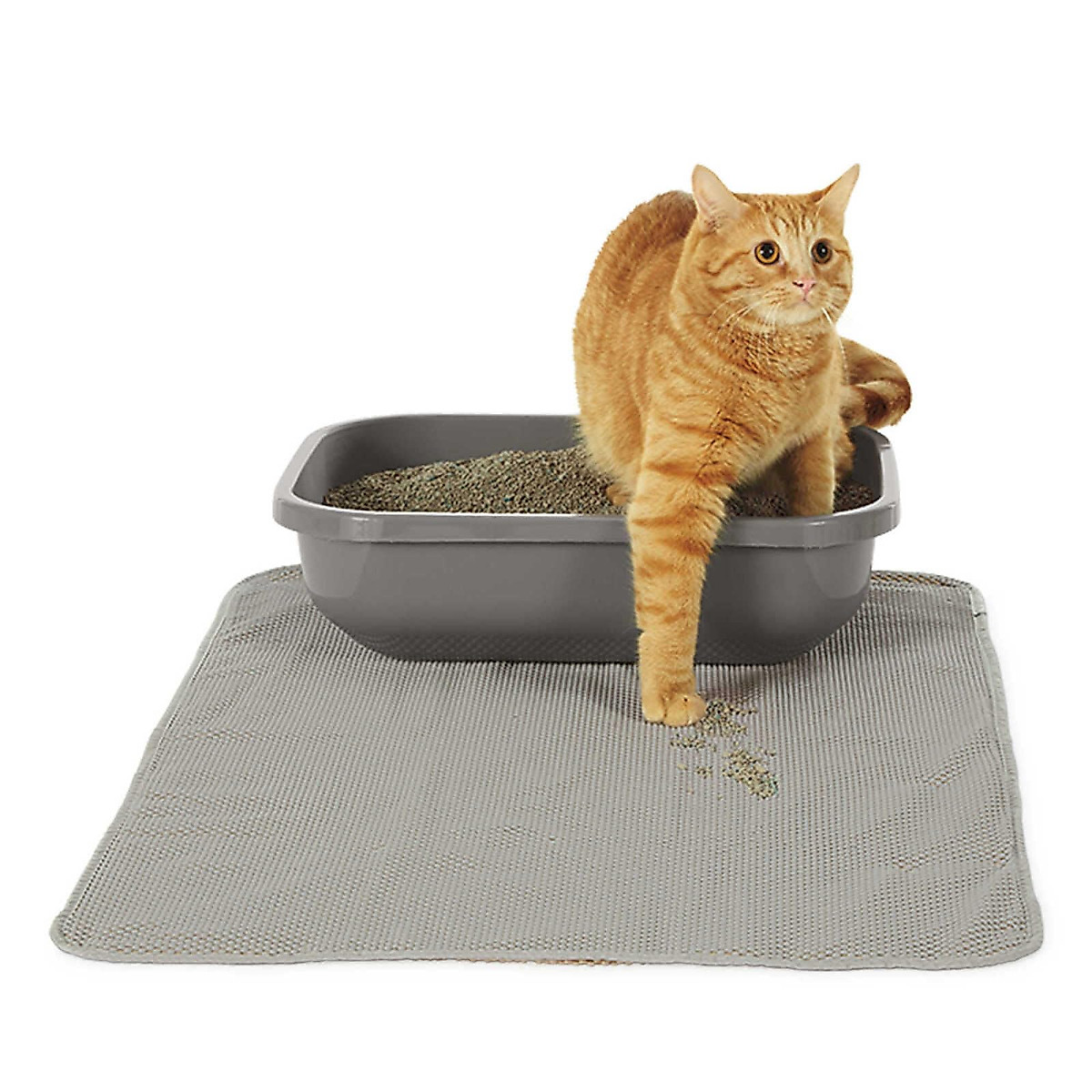 Pioneer Pet Reversible Litter Mat, 36" x 24"