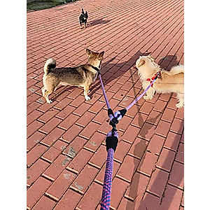 Mycicy Double Dog Leash Coupler, Extension Rope for Two Dogs, No Tangle Dual Dog Lead Splitter for Small Medium Dogs 10-35 lbs (1/3" X 33"- Pinkblue)