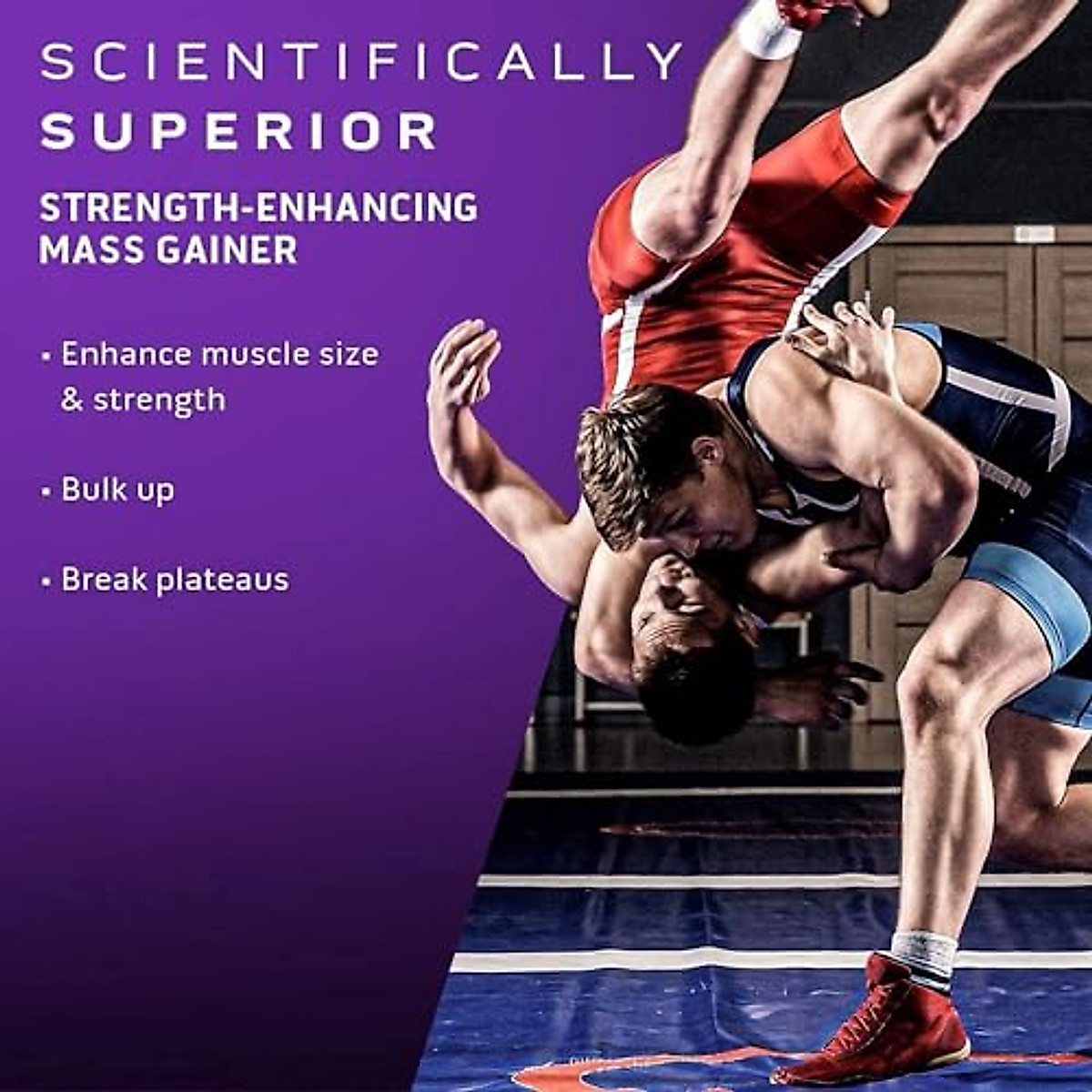 Mass Gainer Protein Powder | MuscleTech Mass-Tech Mass Gainer | Whey Protein Powder + Muscle Builder | Weight Gainer | Protein Powder for Muscle Gain | Creatine Supplements | Strawberry, 7 lbs