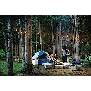 Napoleon TravelQ 285 Portable Gas BBQ Grill, Propane, Blue Lid - TQ285-BL-1 – Two Burners, Cast Iron Cooking Grids, Ideal for Camping & Tailgating