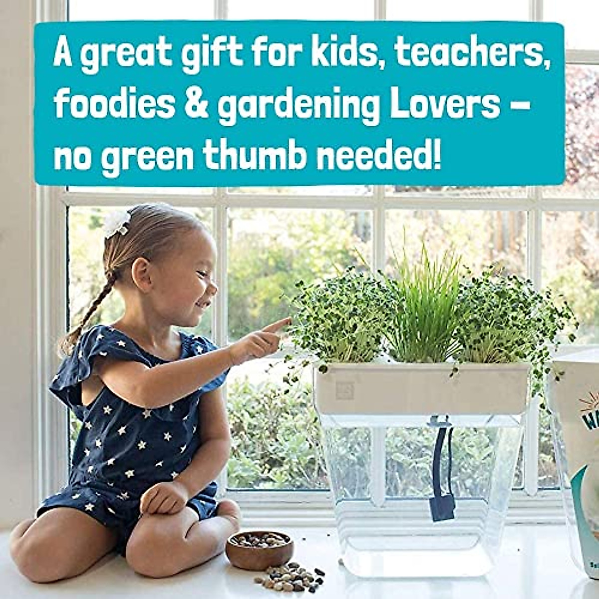 Back to the Roots Indoor Aquaponic Garden and Fishtank - 3 Gallon Self Watering, Mess-Free Planter and Self-Cleaning Fishtank for Herbs, Microgreens, Bamboo, Succulents, and Houseplants, support Fish