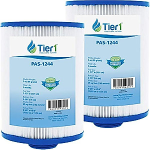Tier1 Pool & Spa Filter Cartridge 2-pk | Replacement for Unicel 4CH-22, Freeflow Lagas FF-150, CLX TLX, Pleatco PFF25P4, Filbur FC-2399 and More | 25 sq ft Pleated Fabric Filter Media
