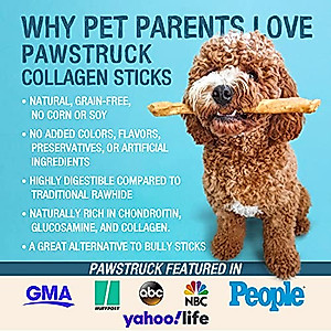Pawstruck Beef Collagen Sticks for Dogs, Long Lasting Chews for All Breeds, 5-Count Bully Sticks and Rawhide Alternative Treats w/Chondroitin & Glucosamine, Low Fat & High Protein Dental Treats