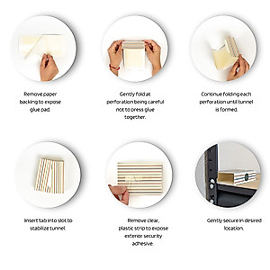 Insect Sticky Traps “BUG beds” Decorative Glue Pads, Aesthetic, Non-Toxic, Indoor, Pest Control- Mouse, Spider, Bed Bug, Cockroach, Brown Recluse, Cricket, Grasshopper, Gecko, Beetle, Scorpion