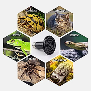 HOSITARK Terrarium Heat Lamp for Reptile, Reptile Heat Light for Bearded Dragon, 75W Ceramic Heater Emitter for Chameleon, Chicks, 2 Pack
