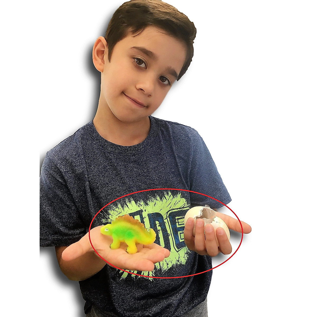 JA-RU Magic Grow Growing Dinosaur Toy (1 Egg Assorted) Surprise Hatching Dino Eggs in Water for Kids. Jurassic Party Favors Easter Basket Stuffers Pinata Fillers. 312-1A