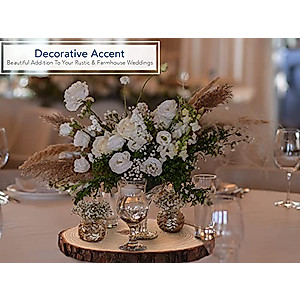 Royal Imports Round Wood Slices Discs, 9"-11" Large, Natural Unfinished Wooden Tree Bark Slabs for DIY Arts & Crafts, Rustic Table Centerpiece, Chargers, Trays, Wedding Decoration, 2 pack