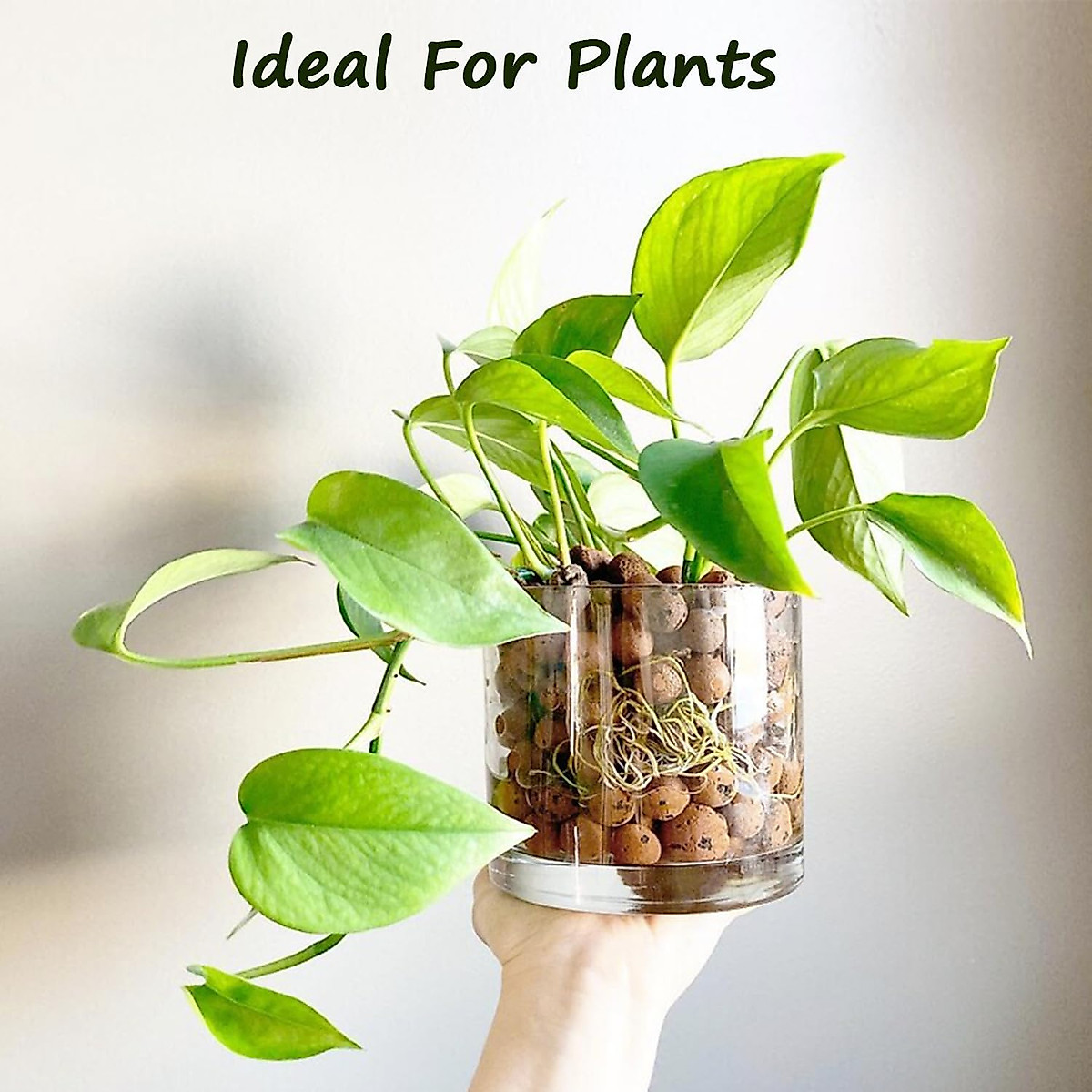 1LB Leca Balls for Indoor Plants, Expanded Clay Pebbles for Plants Hydroponic, Orchid Potting Mix, Soil Amendment, Drainage, Easy Reusability, 4-16mm, includes Gloves