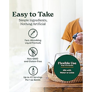 Herb Pharm Brain and Memory Liquid Herbal Formula with Ginkgo for Memory and Concentration, 4 Fl Oz