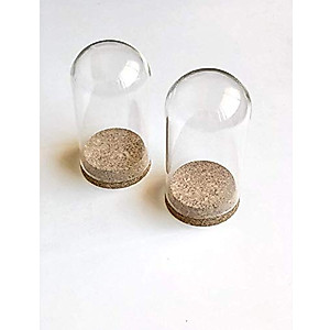 N/ 1 Pieces Clear Glass Dome Cover Cloche Bell Jar Succulent Terrariums w/Wooden Cork Base Home Study Room Decor Beauty and The Beast